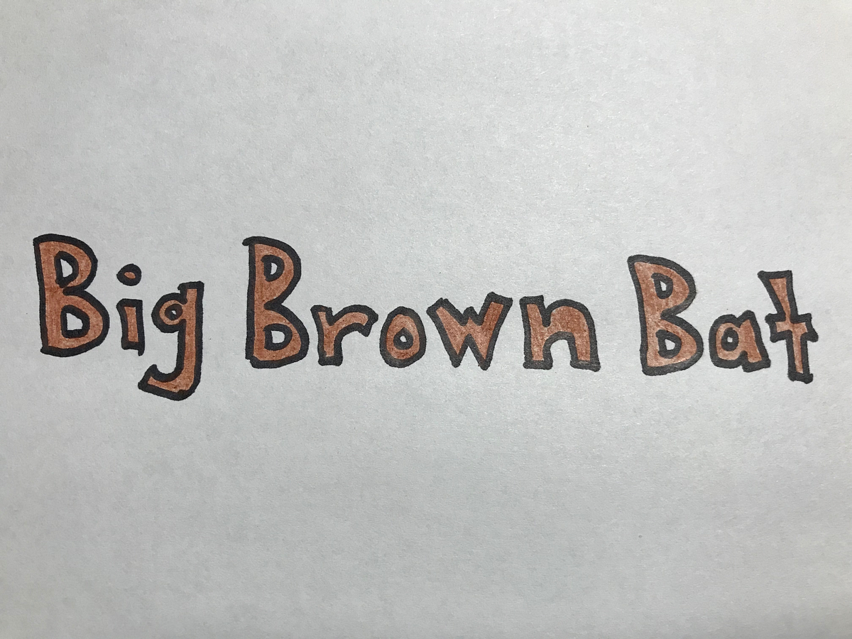 Hungry Big Brown Bat. A poem, I guess | by Megan Nicole Morgan | Nov ...