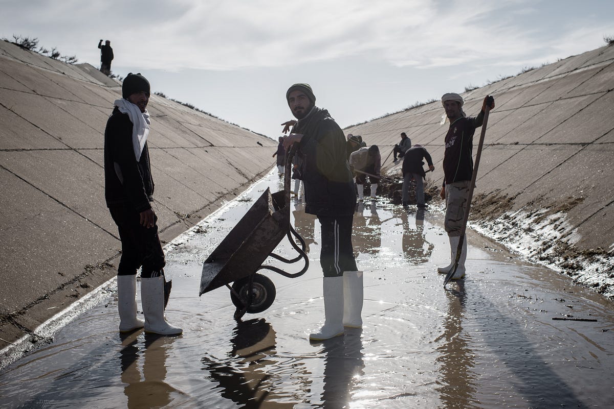 IRAQ: KICK-STARTING AGRICULTURE AND LIVELIHOODS IN RETAKEN AREAS | by ...