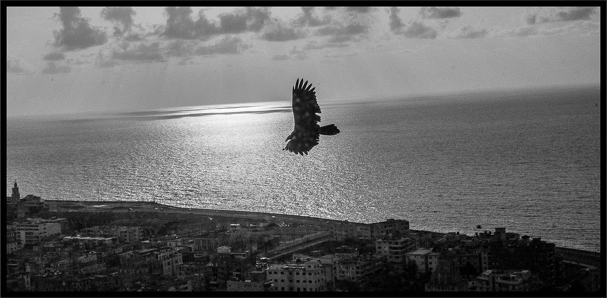 Las angustias fotográficas de Julio César Guanche | by Darío Alejandro ...