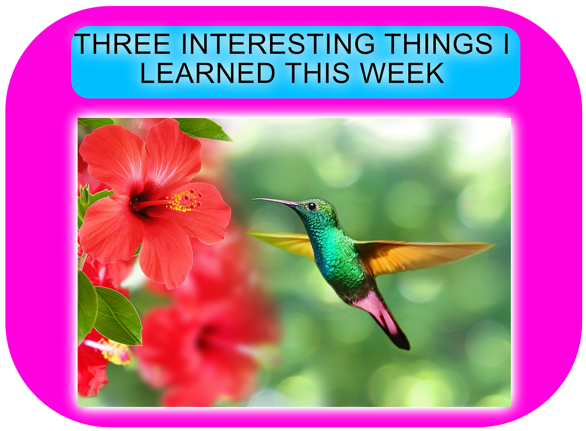 Three Interesting Things I Learned This Week | by Celeste Wilson | The ...