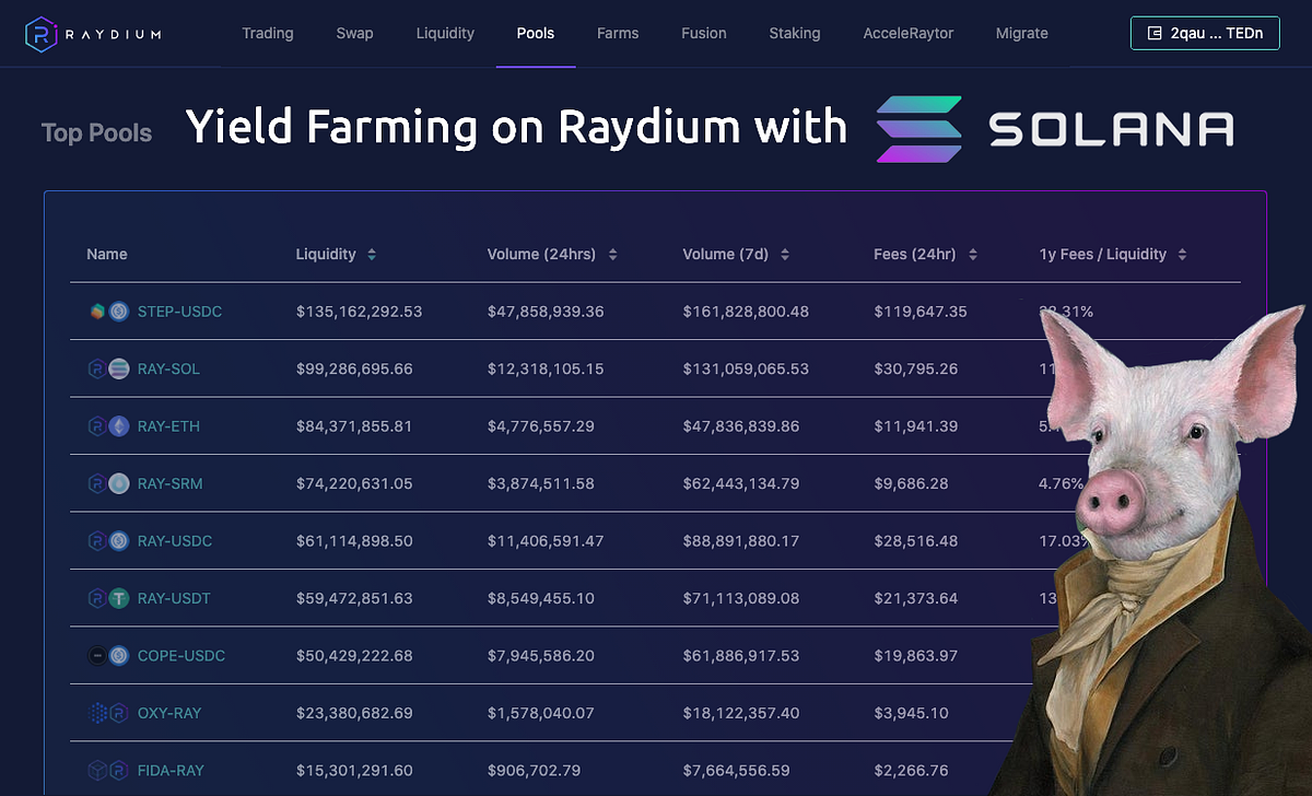 Yield Farming on Raydium: The Complete Guide to Becoming a Solana Yield Pig | by L33T GUY | Medium