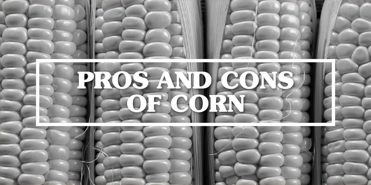 Pros and Cons of Corn. Pros and Cons of Corn | by Ida L Fanelli | Medium