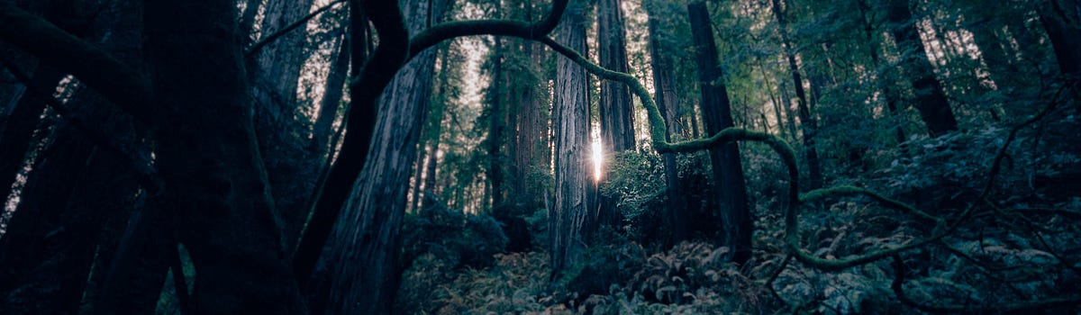 Dense layers explained in a simple way | by Assaad MOAWAD | DataThings ...