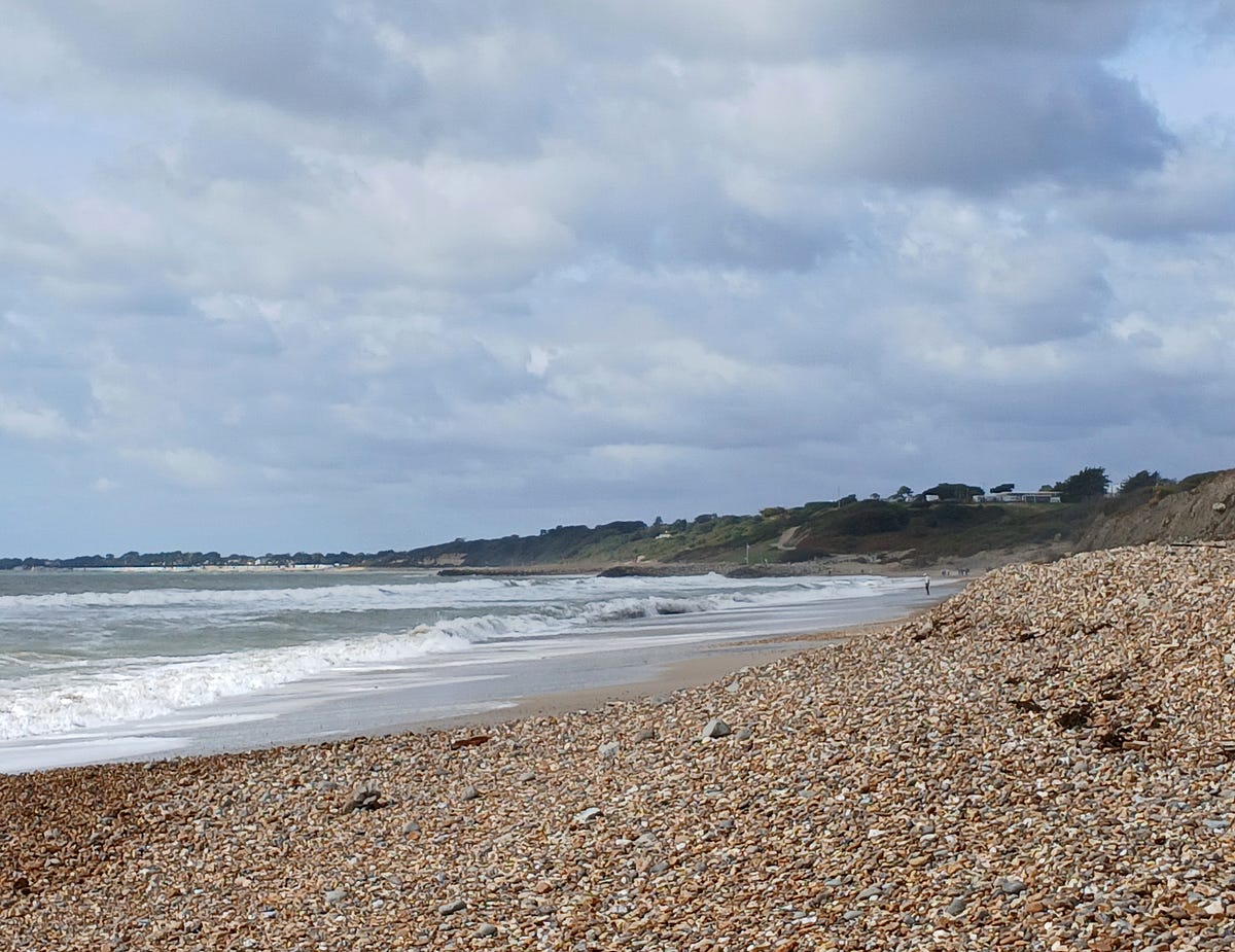 Oysters and Shark Teeth. Four British fossil beaches — Part Two | by AG ...