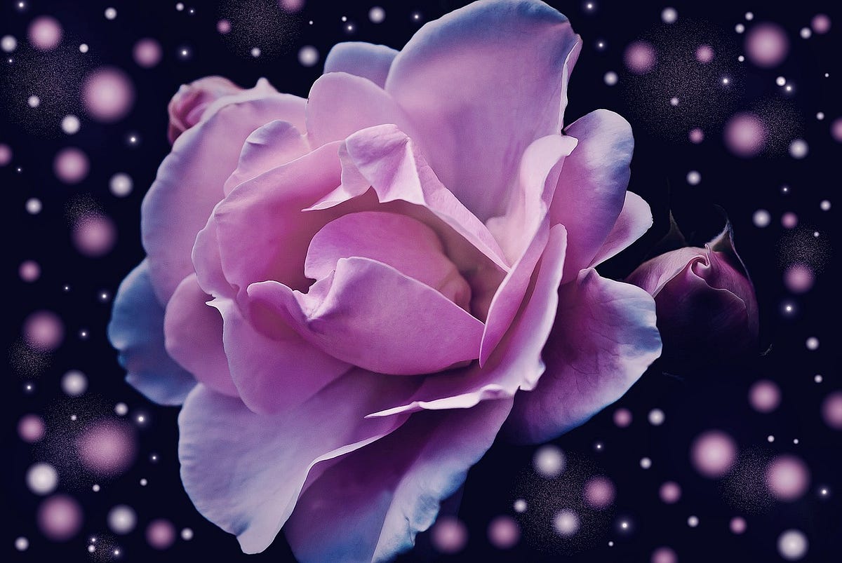 Alzheimer’s Claims Another Victim | by Kim Smyth | 100 Naked Words | Medium