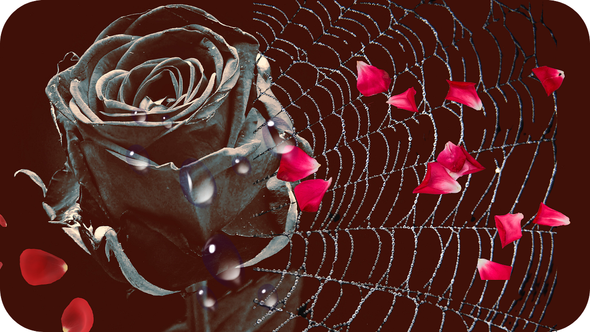 Tainted Roses - Amusing Responses - Medium