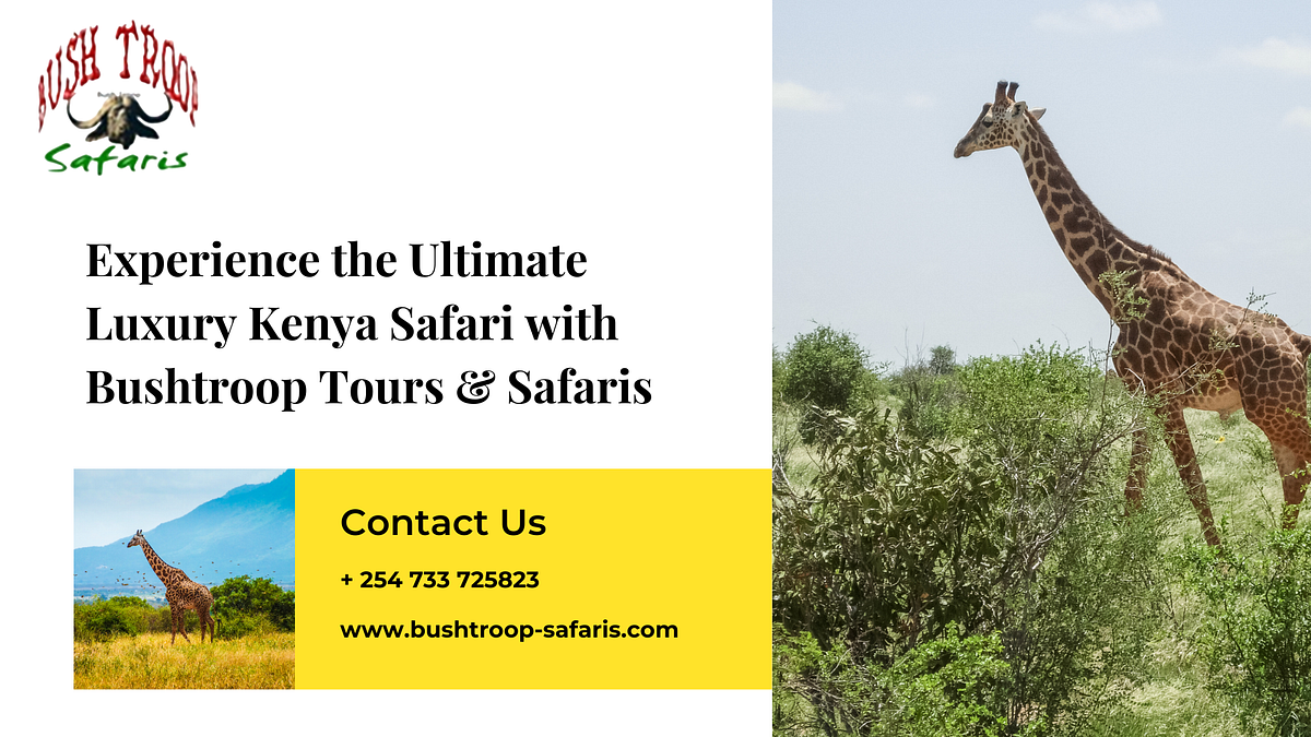 Experience the Ultimate Luxury Kenya Safari with Bushtroop Tours ...