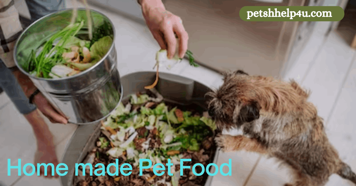 How to Make Homemade Pet Food: A Complete Guide | by Petshelp4u | Medium