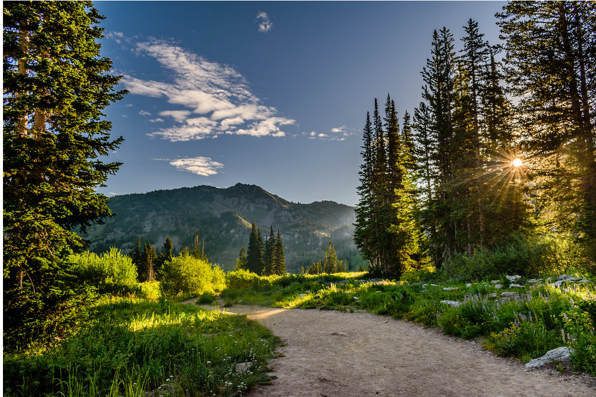 Embracing the Wilderness: Finding Meaning Beyond Human Relationships ...