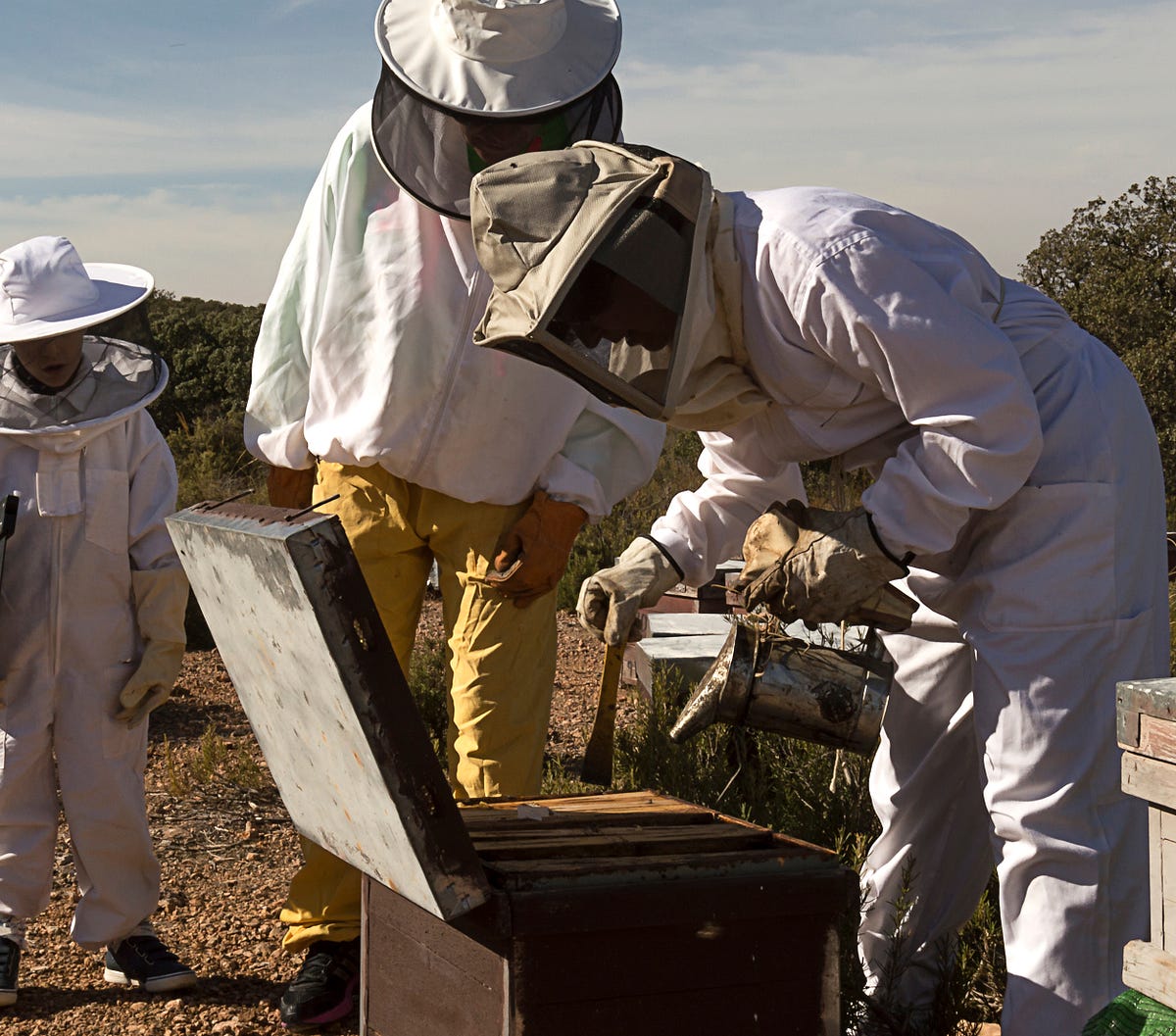How to Make a Home Made Bee Suit? | by Kulbahar Singh | Medium