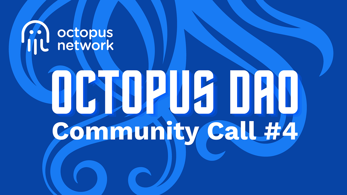 Octopus DAO November - Community Call #4 | Omnity Network