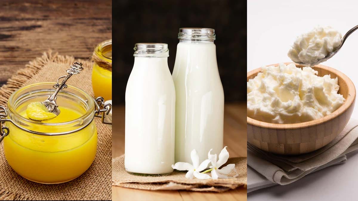 Malai Ghee and Dahi Ghee: Differences, Benefits, and Making Process ...