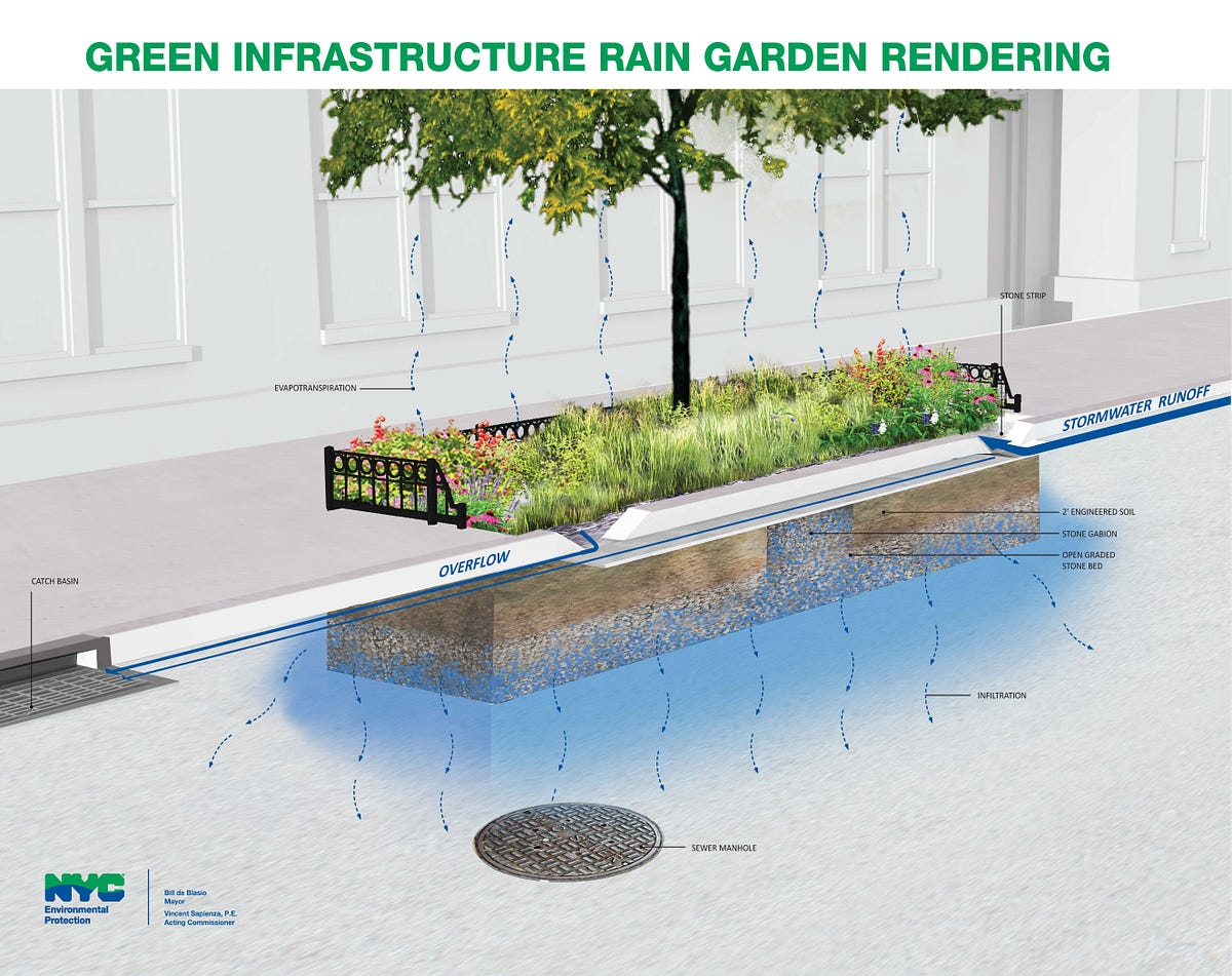 More Rain Gardens to Choose From. In order to continue to improve the ...