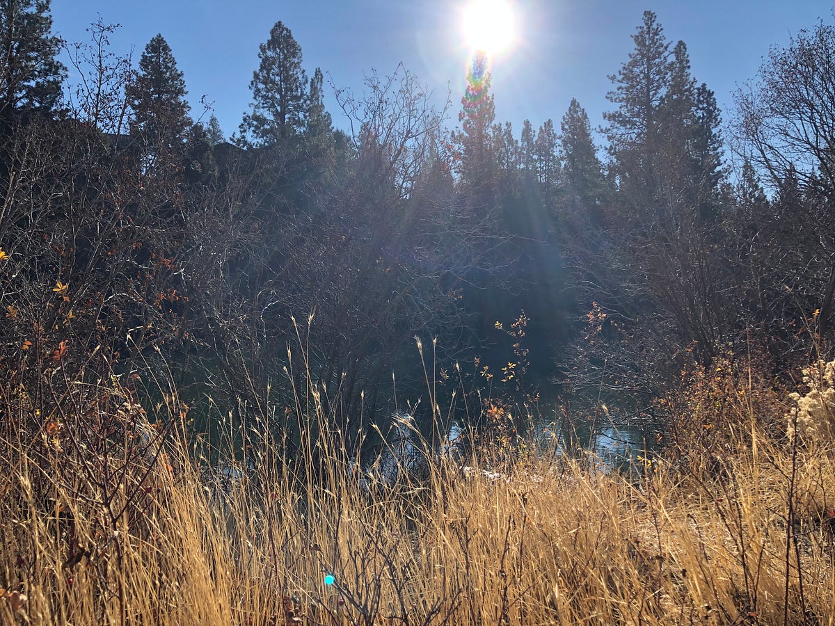 November Sun. These November days | by Dr. Anita | Medium