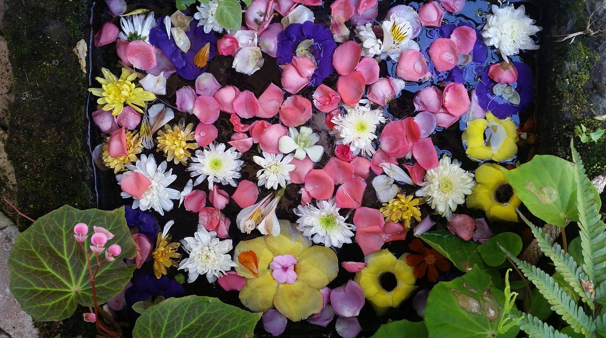 AESTHET IA #1 Art in Everyday. 3) Flowers bloom in the best times | by Joshua Hendrick Ching ...