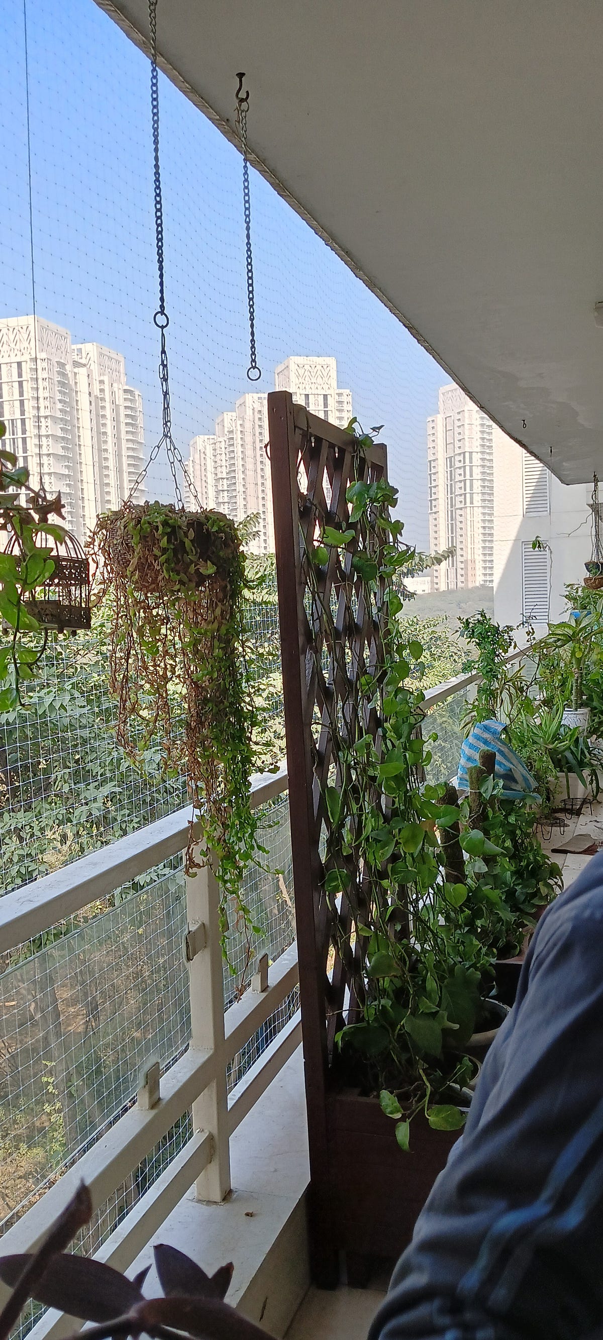 Pigeon Net In Gurgaon. CALL NOW FOR BEST DEALS +91 87001 23661 | by MK BIRD NETS SERVICES | Feb ...