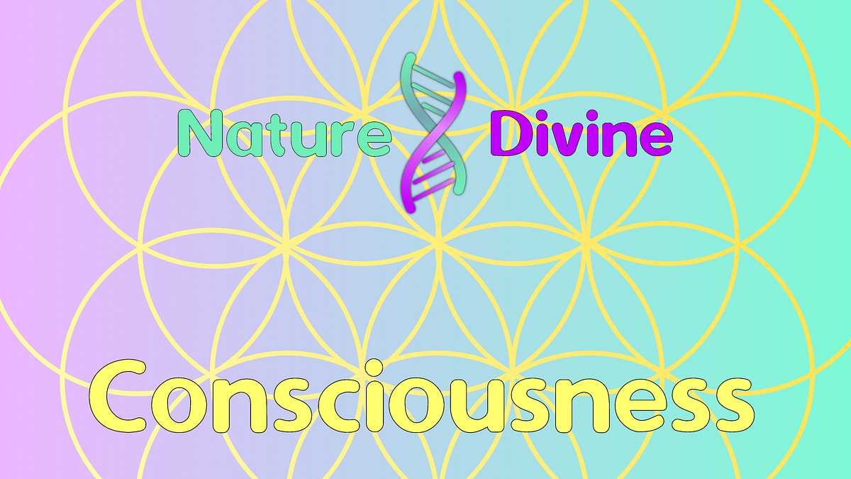 Consciousness. Along my spiritual path, I have often… | by Alex ...