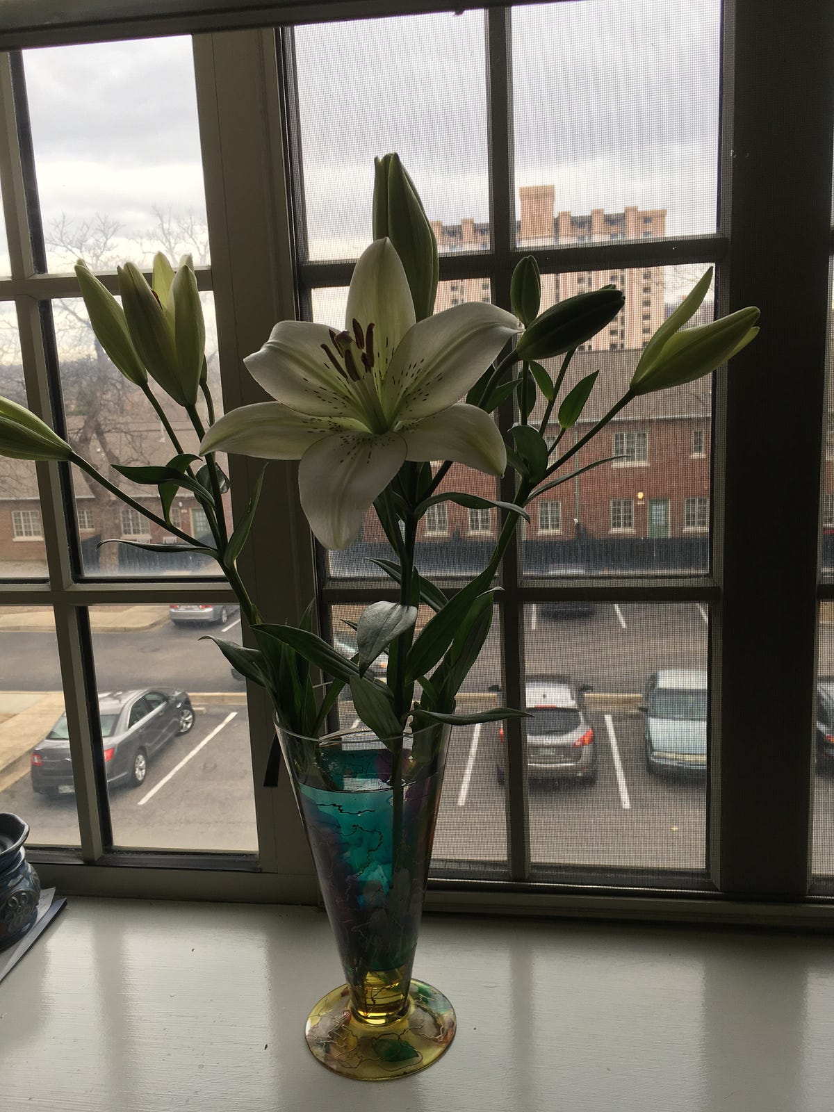The Life of Lily. Life happens when time begins, | by Sherika D. | Medium