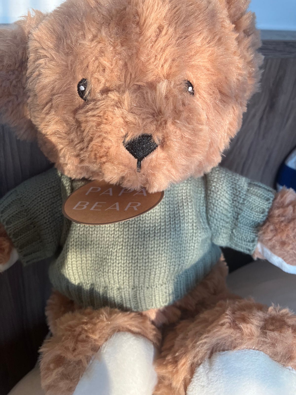 Teddy Bear, DVD, Transience. 18/6/2024 | by BL | My Notes | Medium