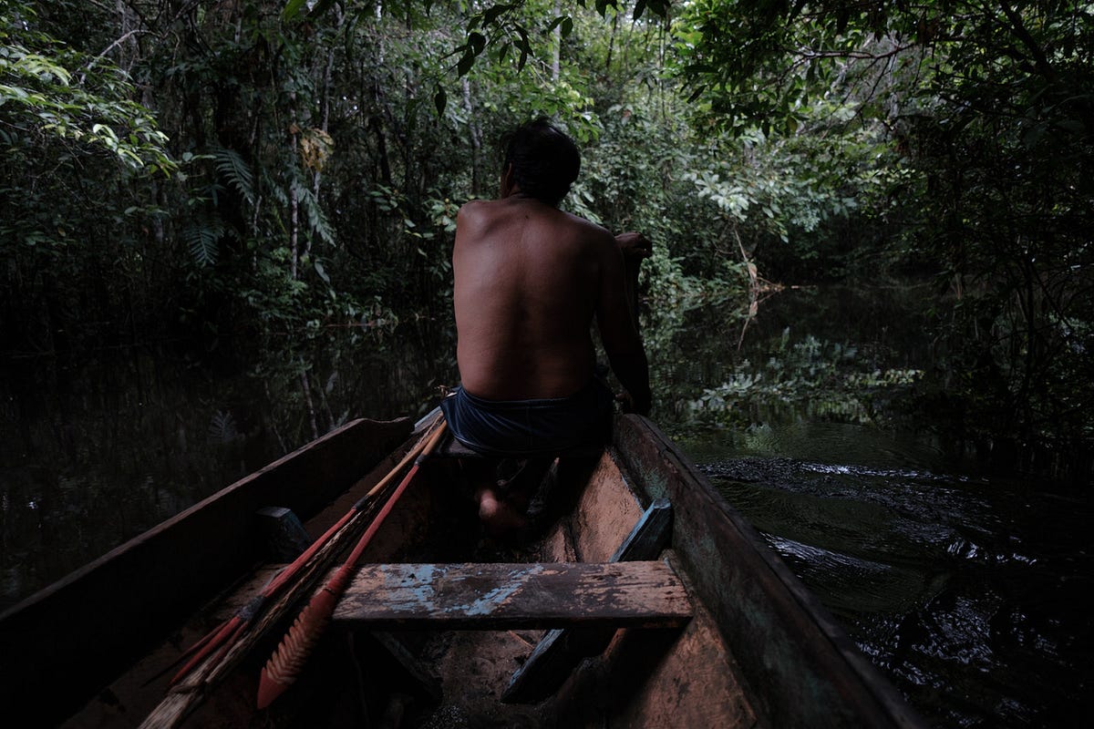 Xapiri Ground and Crafting the Field | by Carla Woody | ILLUMINATION ...