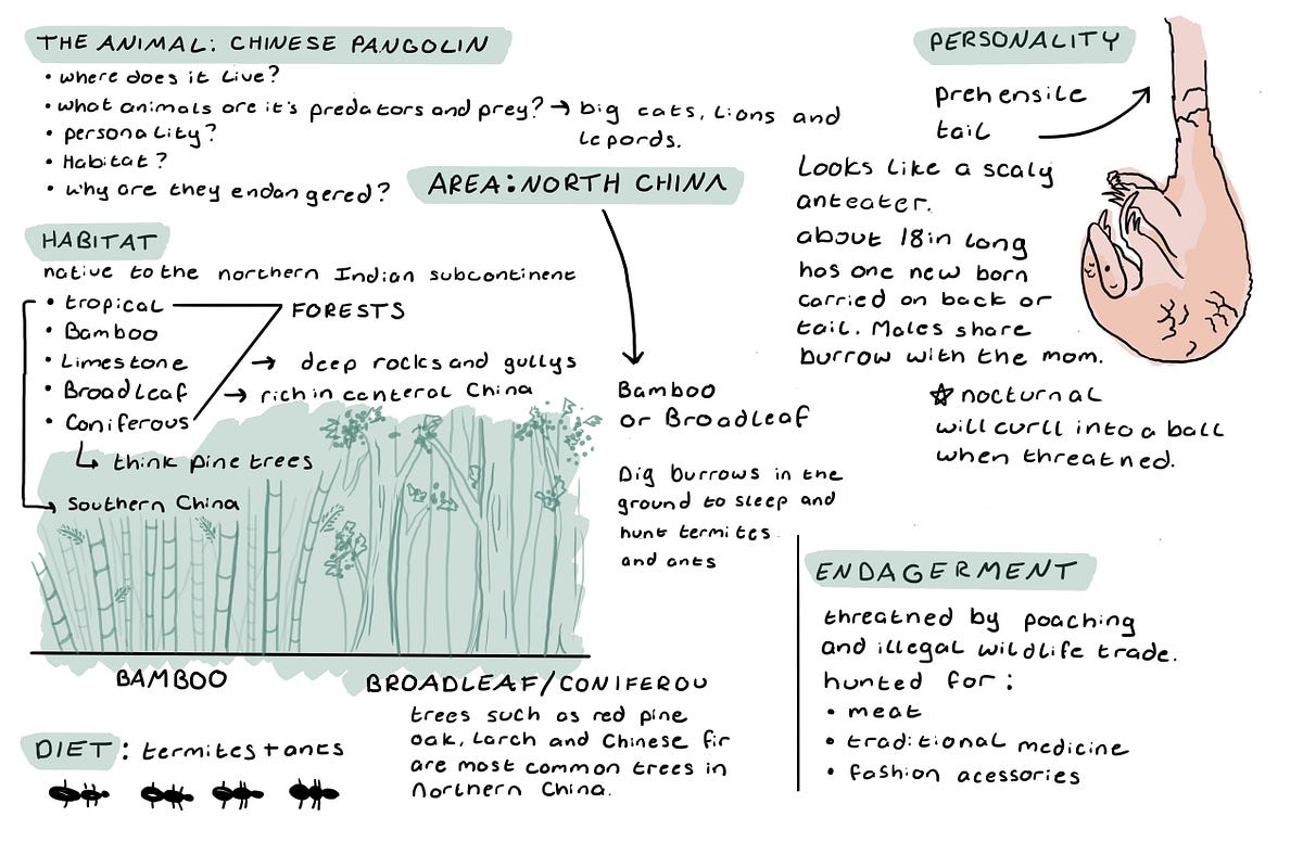 Animal Info Graphic. Chinese Pangolin [North China Forest] | by Elacomb ...