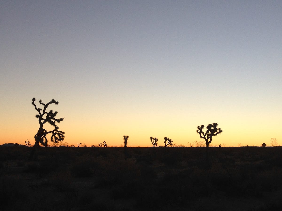 A Little More Soul. I Literally feel the world becoming… | by Angie M ...