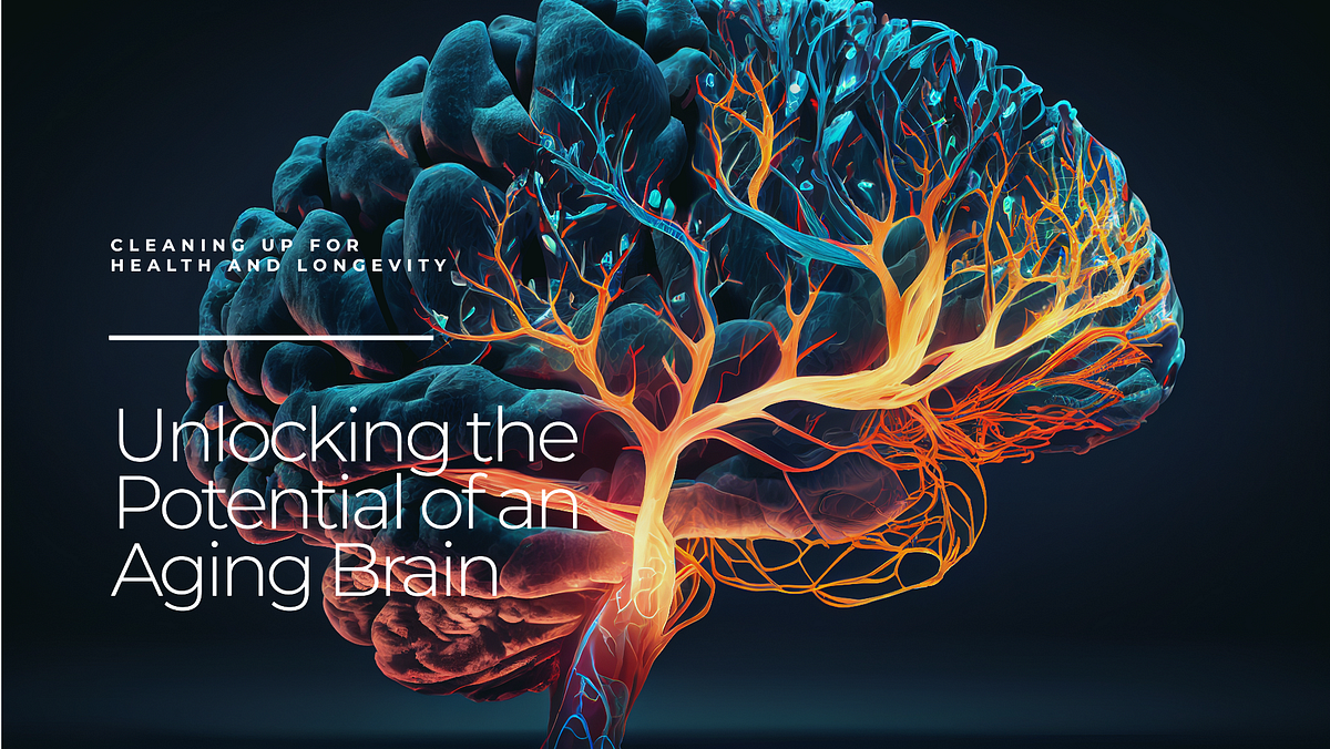 Unlocking the Potential of an Aging Brain | by Dr. med. Titus Maniera ...