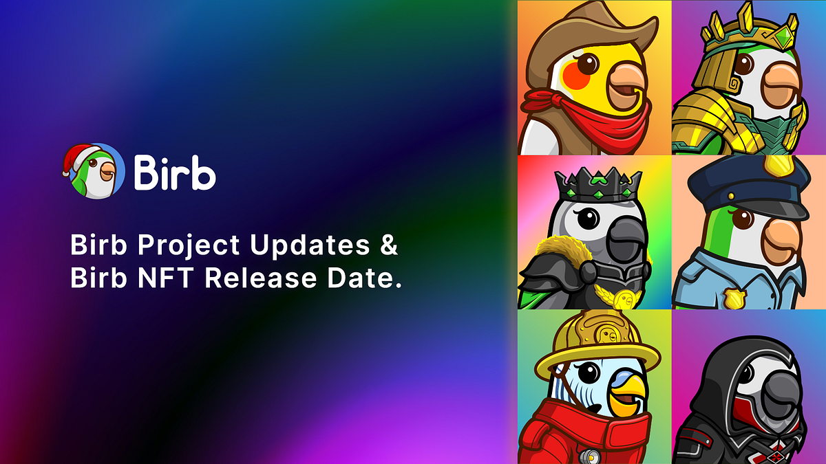 Birb Project Updates — December 21, 2021 | by Birb | Birb | Medium