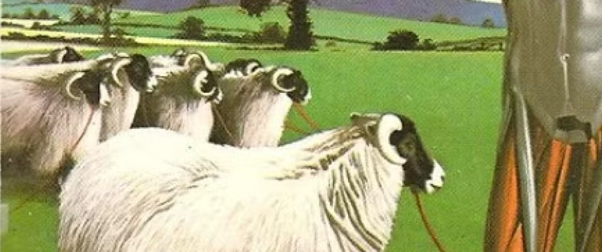 Do Androids Dream of Electric Sheep? A New Architecture Turns ...
