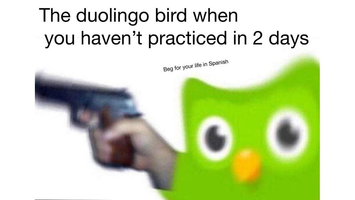The Rise and Impending Fall of Duolingo | by Morrie V | Medium