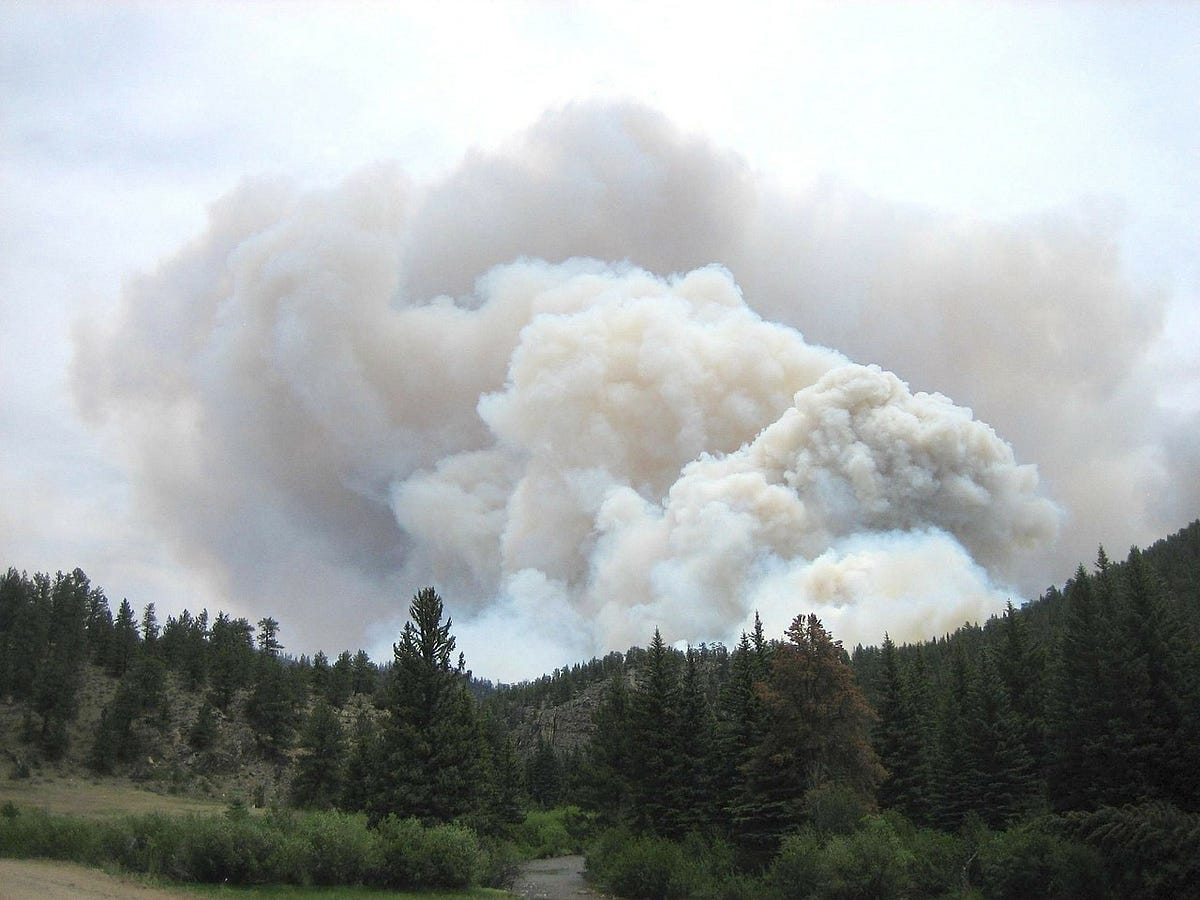 UAV solutions for wildfire detection | by Skyeton | Medium