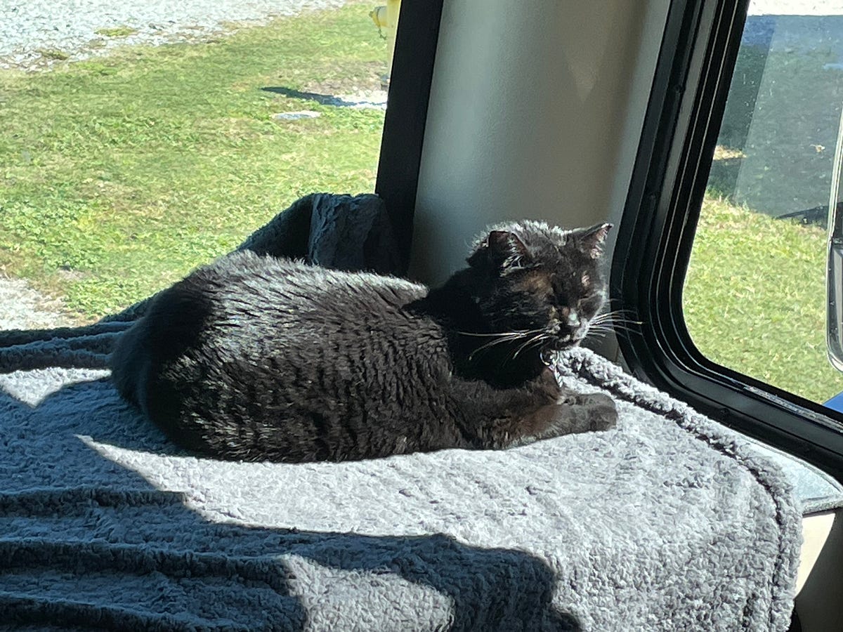Luna’s RV Adentures Part 1. Hi….I know you all have been following ...