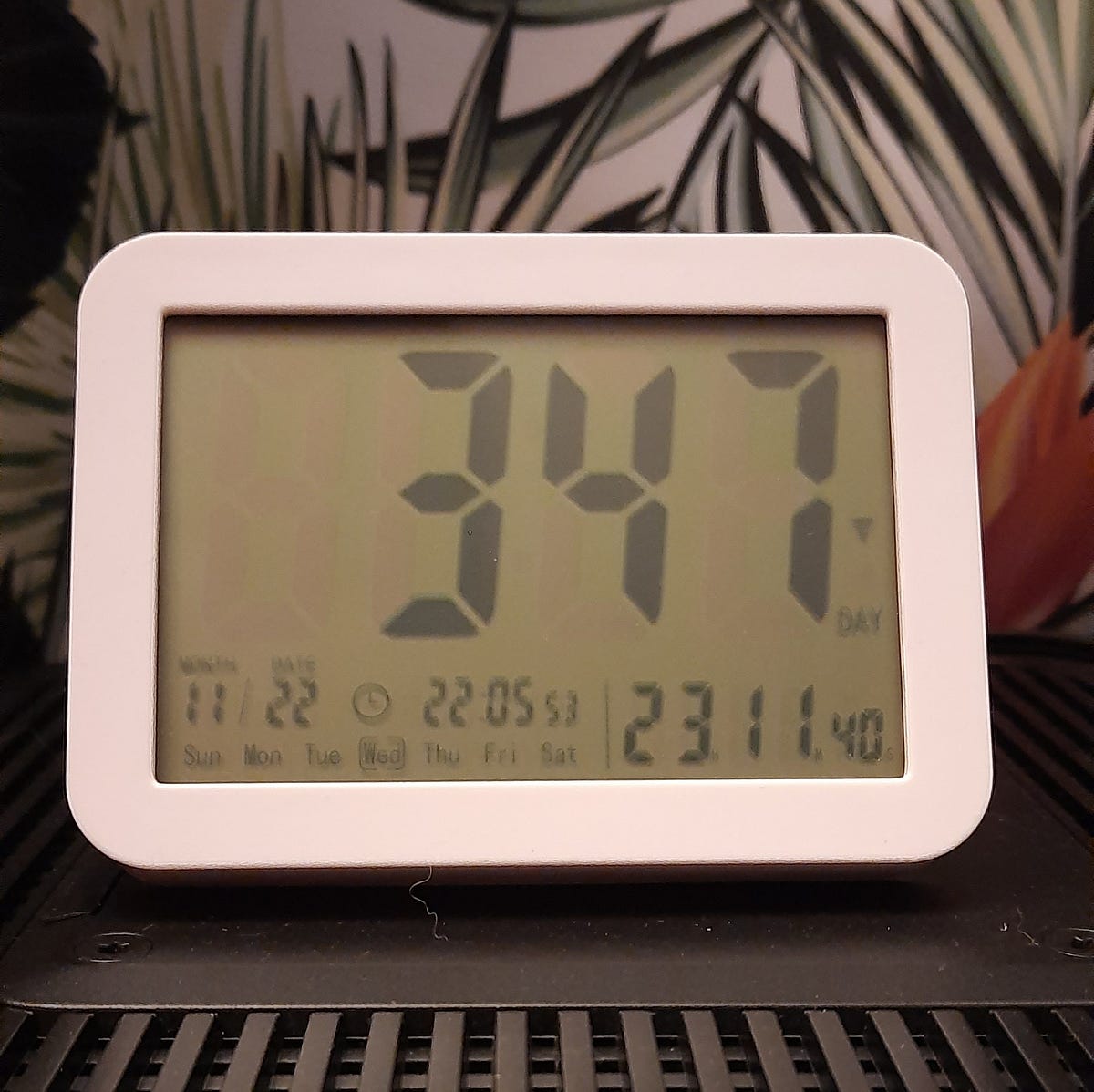 Networking Devices And Initial Configuration — Arp Dns Dhcp And Few More Piotr Olechniewicz