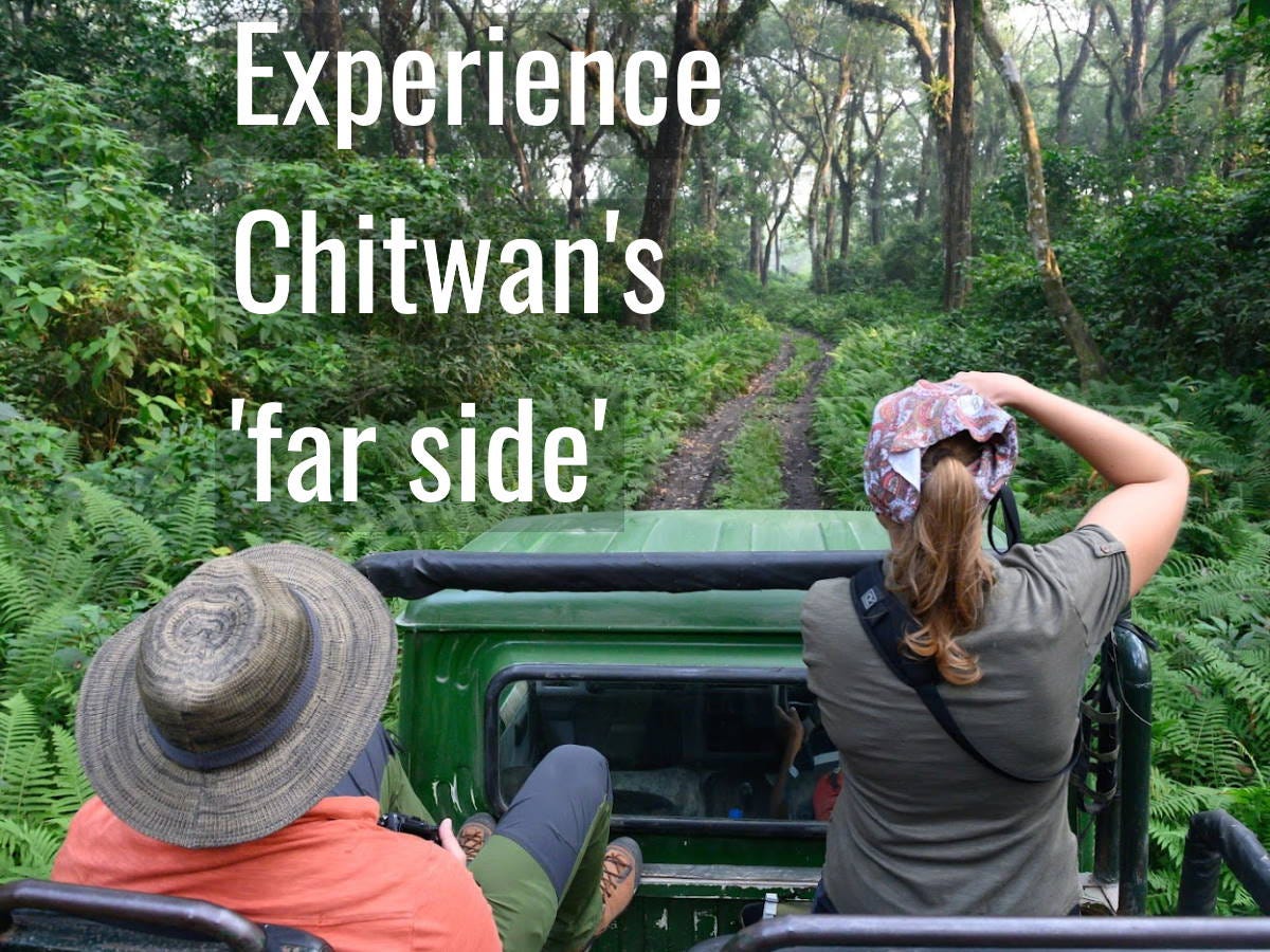 Experience the ‘far side’ of Chitwan National Park, Nepal | by The ...