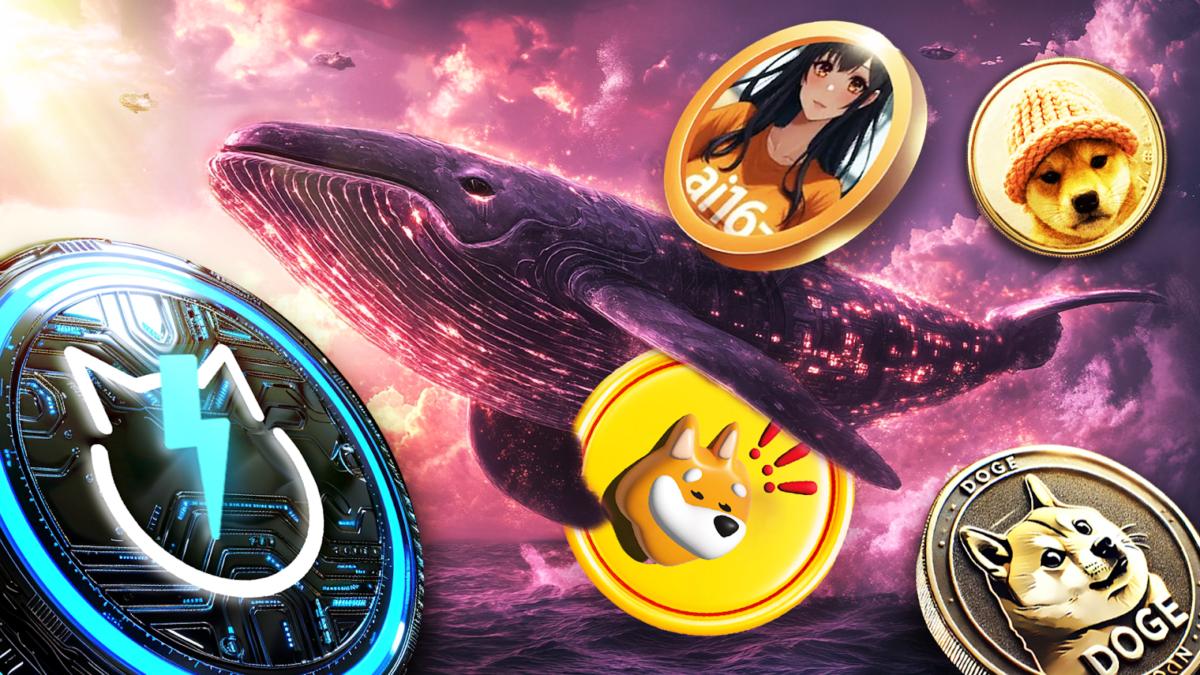 Best Meme Coins Crypto Whales Are Bullish On: Bonk, WIF, ai16z ...
