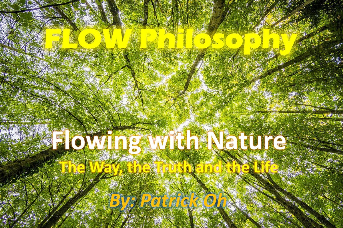 Embracing the Flow: A Productivity Philosophy for a Purpose-Driven Life ...