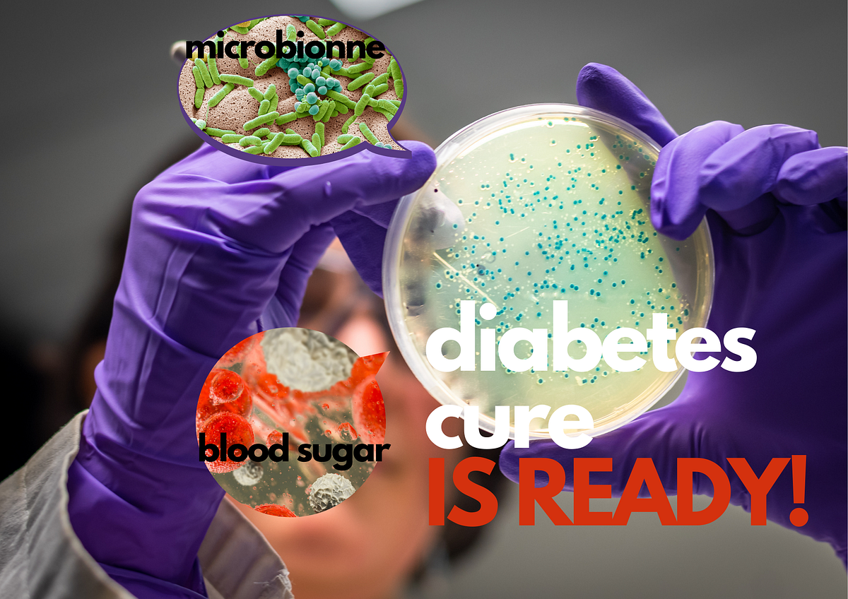 Updates on Type 2 Diabetes : Finally the cure | by MED AMIN | Feb, 2024 ...