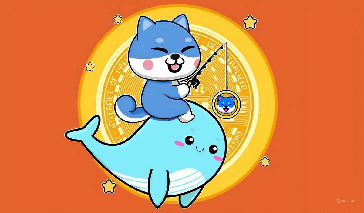 July 2024 Project Update — Vita Inu (VINU) - VINU | Vita Inu - Medium