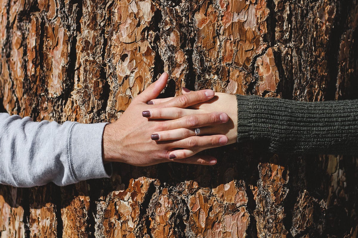 Nurturing Self-Love and Rediscovering Our Natural Roots: A Compassionate Guide to Nurturing Your ...
