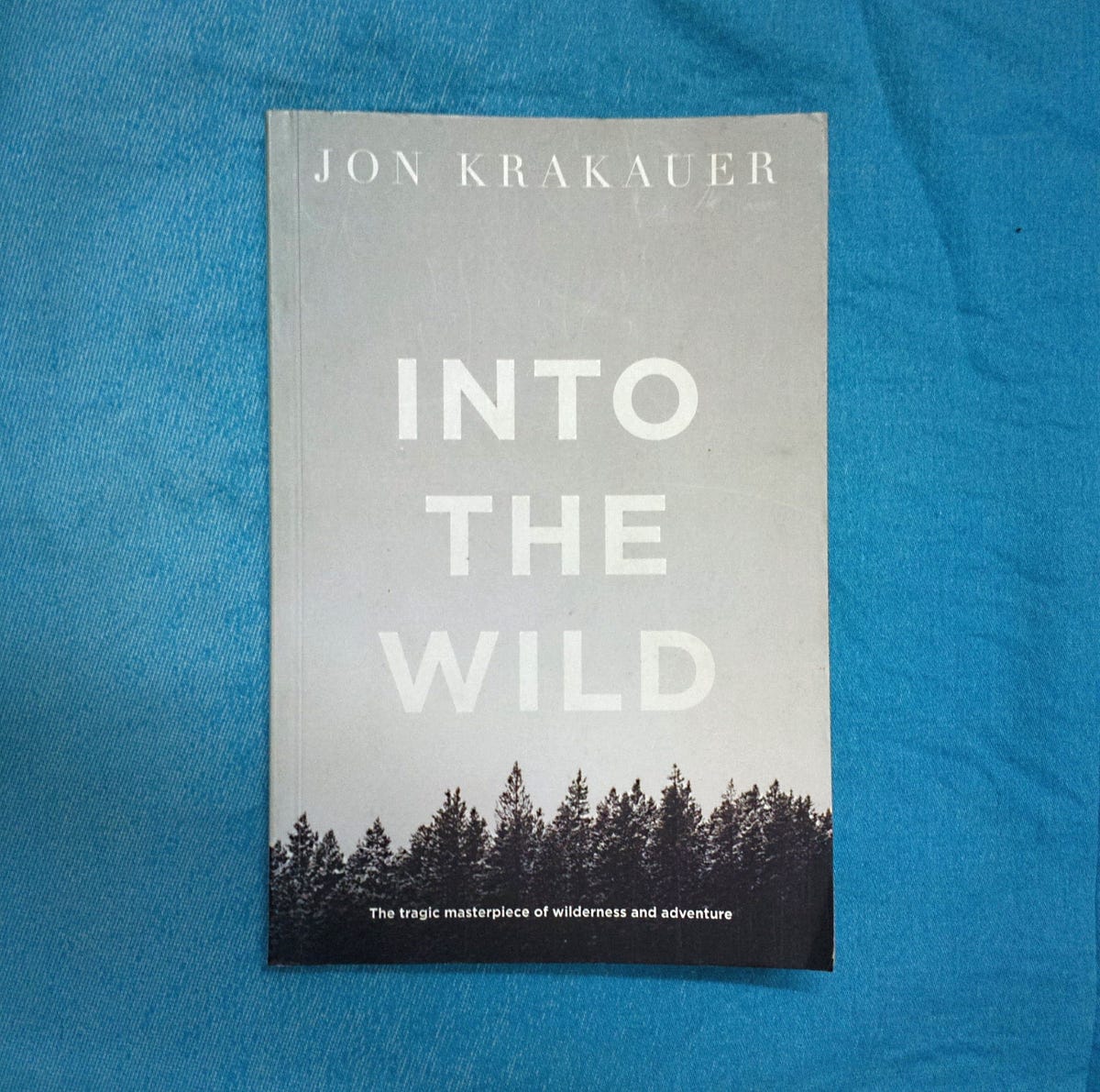 Into the Wild — Book Review. How far can you push your passion? And ...