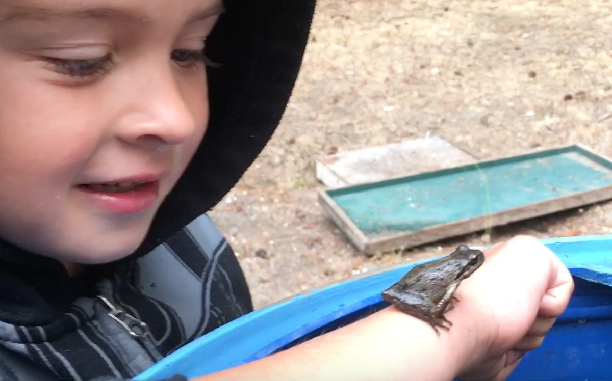 How A Child Defines Loves: A Story Told From A Friendship With A Frog ...
