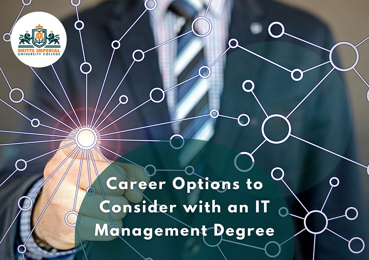 Career Options to consider with an IT Management Degree | by ...
