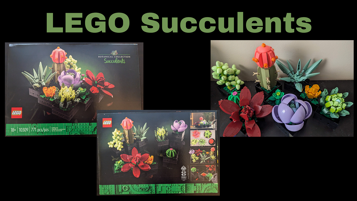 LEGO Succulents: A Gorgeous Desert Garden | Bricks n’ Brackets