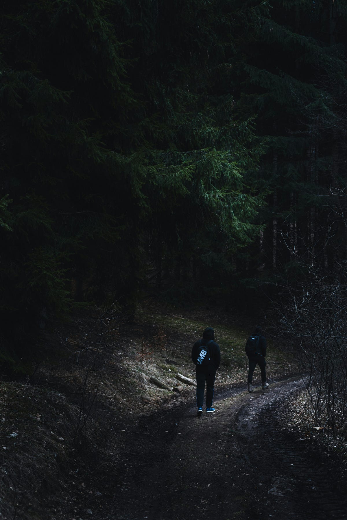 Shaky Steps.... This story continues from the two… | by Meryem Nebevi ...