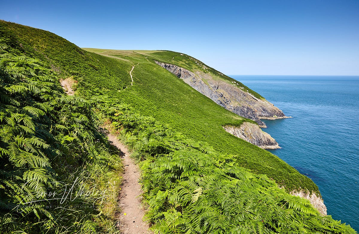 Clifftop Footpaths. A mindful experience, right on the edge | by Simon ...