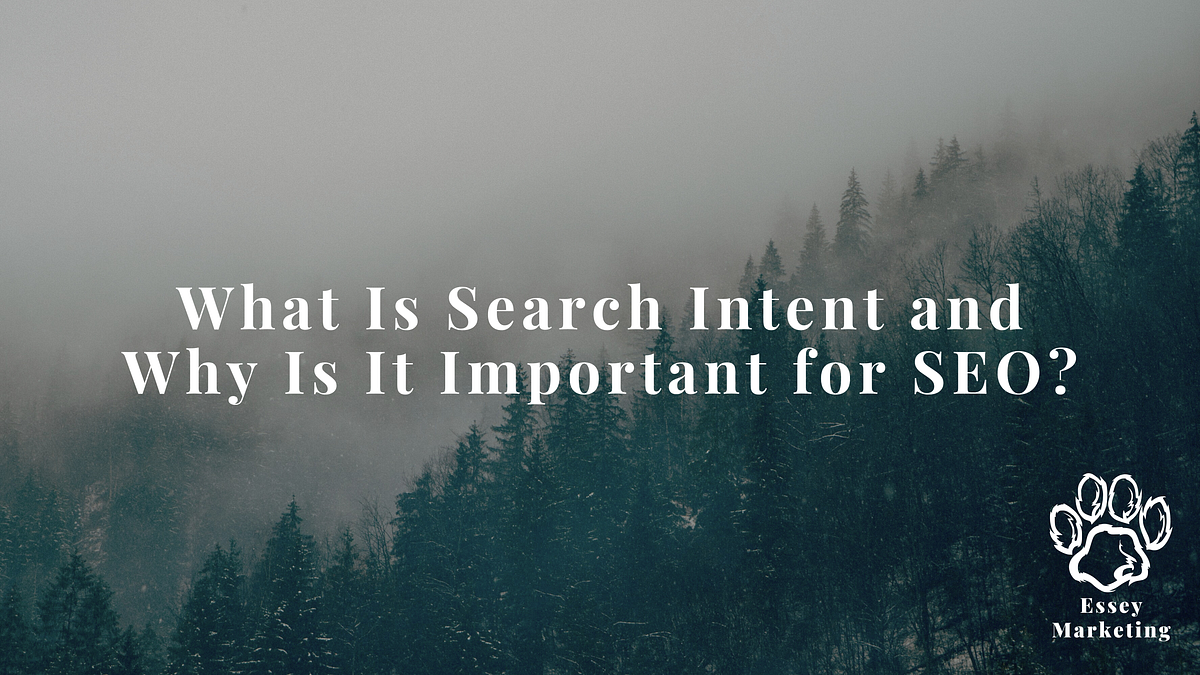 What Is Search Intent and Why Is It Important for SEO? | by Chris Essey ...