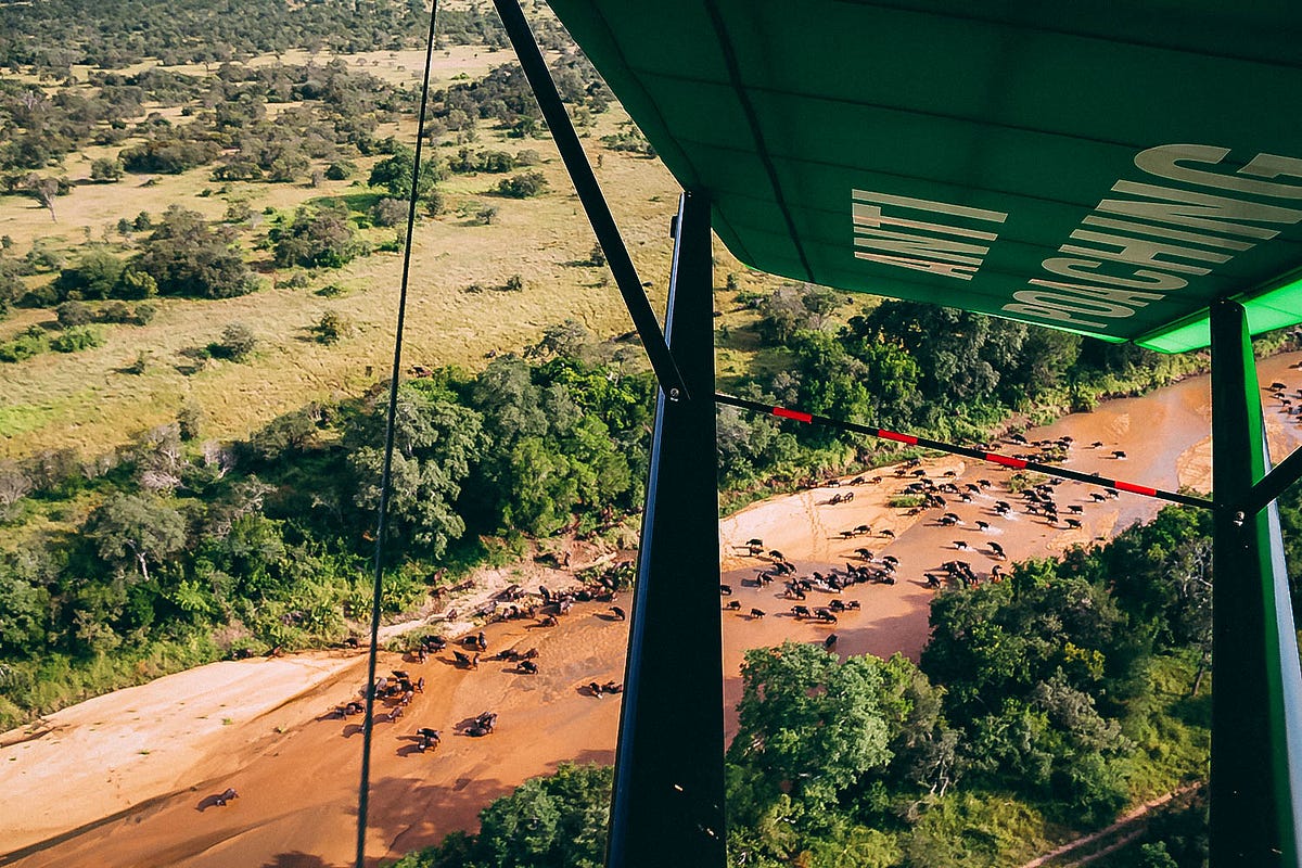 Building a Future for Africa’s Natural Heritage: Southern African ...
