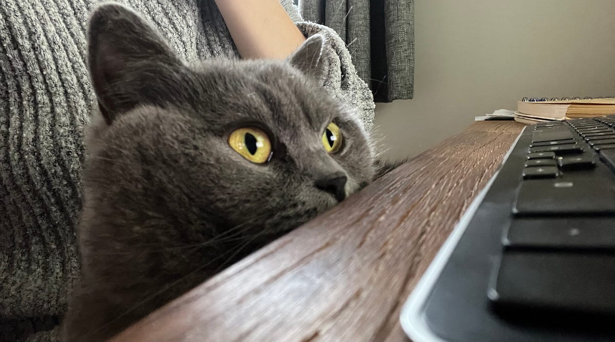 Weeknote 20: The 3 Rs — reviewing, refining and requirements | by Alysia-Marie Annett | Medium