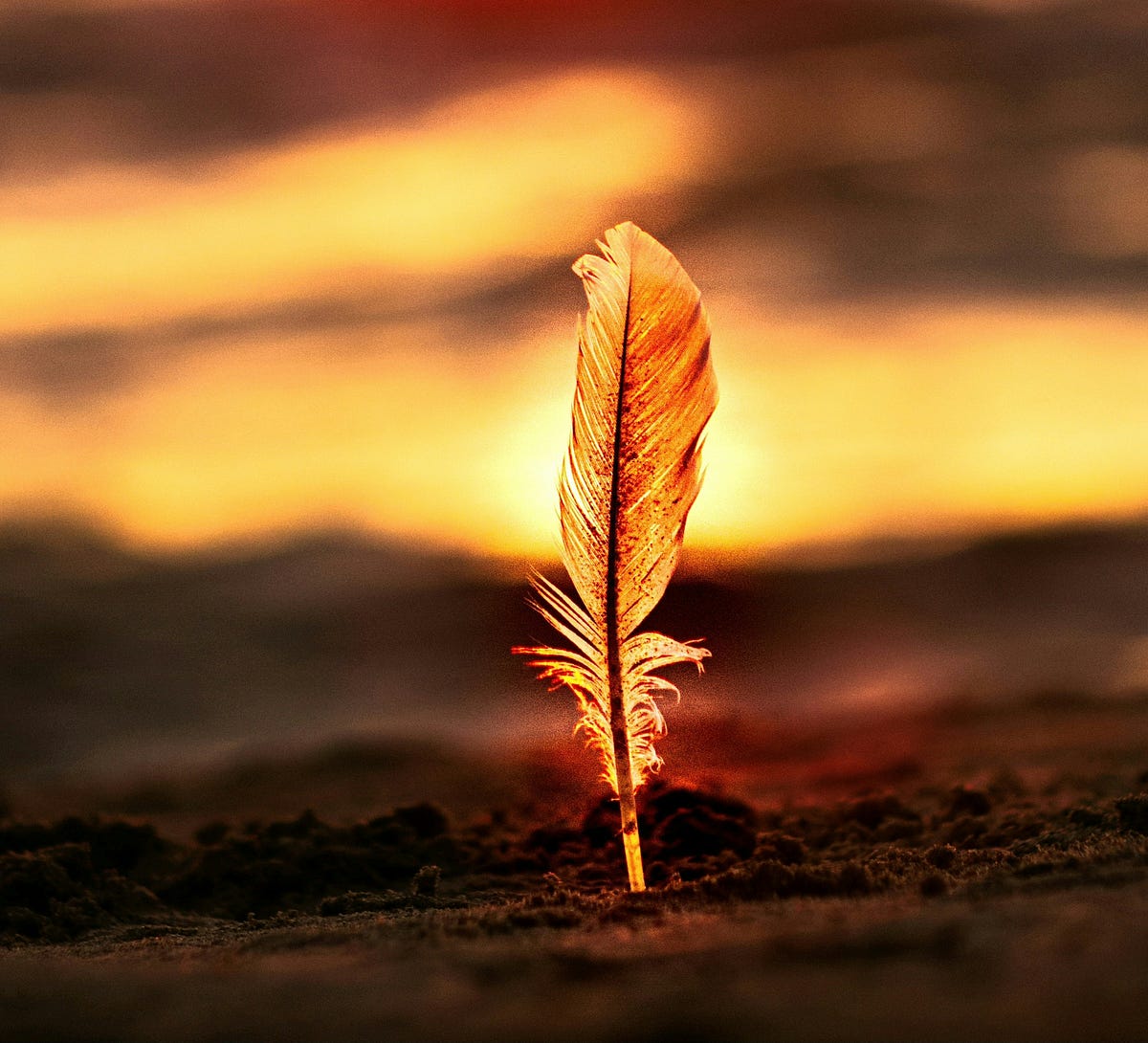 Why Are We Born? Why Do We Die? What Is the Purpose of Life? | by ...