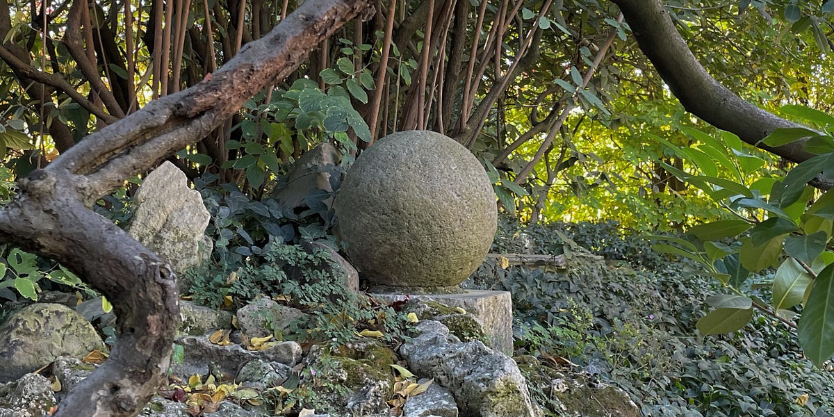 Decoding Nature The Interconnectedness Of Life Is One… By Lőrinczy Márk Medium